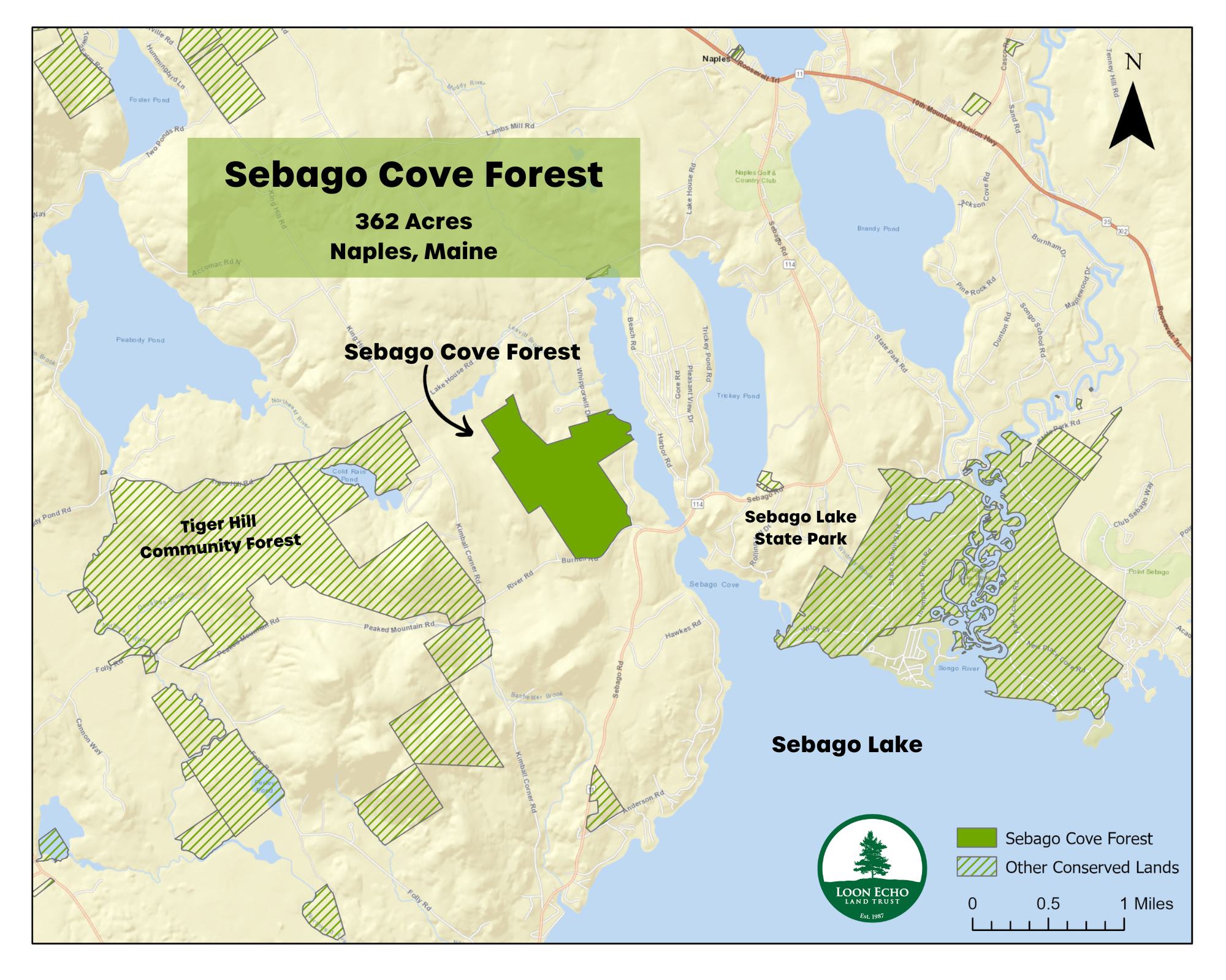 Sebago Cove Forest